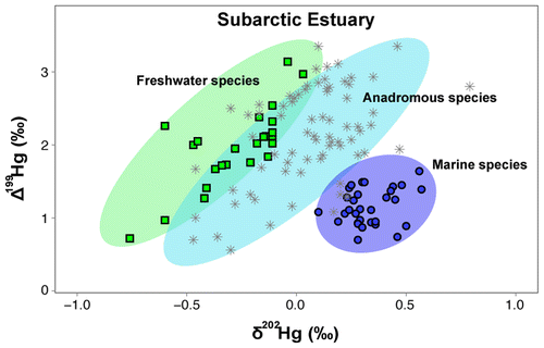 Environmental Origins of Methylmercury Accumulated in Subarctic ...