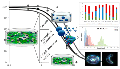 解开驱动NP细胞相互作用和对藻类细胞毒性的AgNP的复杂行为。,Environmental Science & Technology - X-MOL