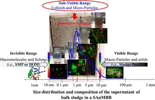 Characterization and Significance of Sub-Visible Particles and Colloids ...