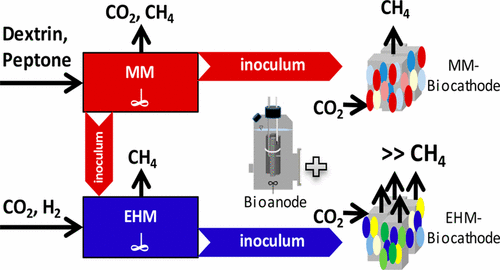 产甲烷生物阴极微生物群落的发展和细菌的作用。,Environmental Science & Technology - X-MOL