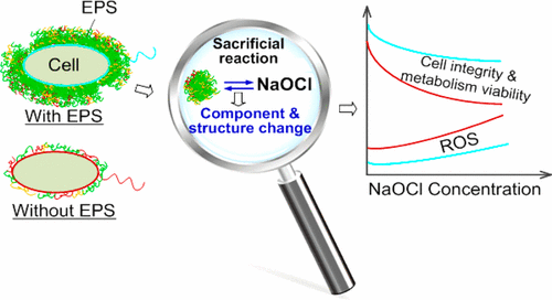 Acute Responses of Microorganisms from Membrane Bioreactors in the ...