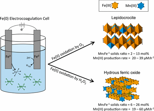 Fenton和Fenton型体系中的Mn（II）氧化：反应效率和反应产物的鉴定,Environmental Science & Technology - X-MOL