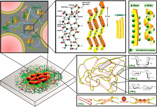Stratification of Extracellular Polymeric Substances (EPS) for Aggregated Anammox Microorganisms ...