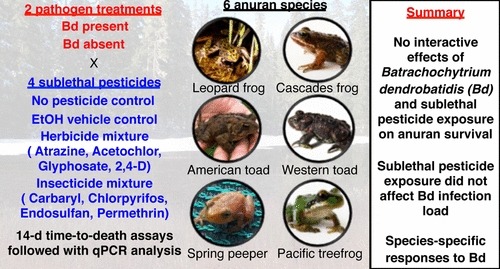 两栖动物同时接触杀虫剂和新兴真菌病原菌Batrachochytrium dendrobatidis的影响,Environmental ...