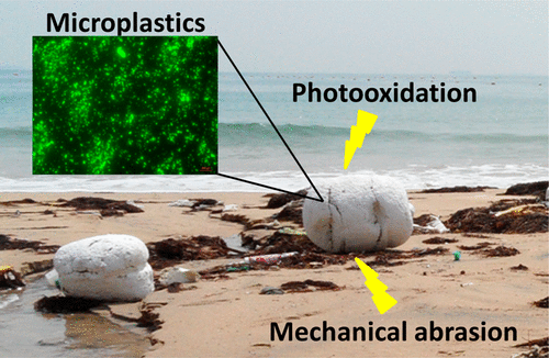 Combined Effects of UV Exposure Duration and Mechanical Abrasion on ...