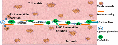 Colloid-Facilitated Plutonium Transport in Fractured Tuffaceous Rock ...