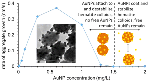 Quantification of Heteroaggregation between Citrate-Stabilized Gold ...