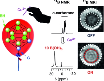 11B NMR Probes of Copper(II): Finding and Implications of the Cu2 ...
