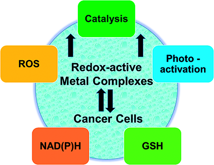 Redox-Active Metal Complexes for Anticancer Therapy,European Journal of ...