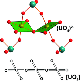 Tellurites of Hexavalent Uranium: First Observation of Polymerized (UO4 ...