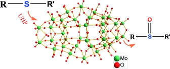 Selective Oxidation of Sulfides Catalyzed by the Nanocluster ...
