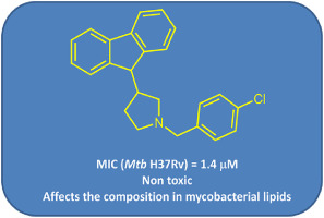 Pyrrolidinone and pyrrolidine derivatives: Evaluation as inhibitors of ...
