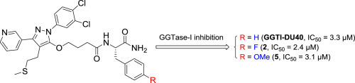 基于吡唑的GGT1高效抑制剂：合成，生物学评估和分子对接研究,European Journal of Medicinal Chemistry ...