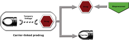 Prodrug approach: An overview of recent cases,European Journal of ...