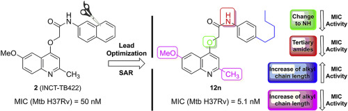 New insights into the SAR and drug combination synergy of 2-(quinolin-4 ...