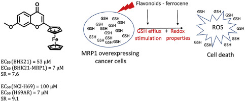 Ferrocene-embedded flavonoids targeting the Achilles heel of multidrug ...