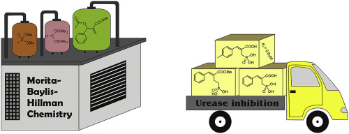 Novel organophosphorus scaffolds of urease inhibitors obtained by ...