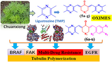 Discovery of potential anticancer multi-targeted ligustrazine based ...