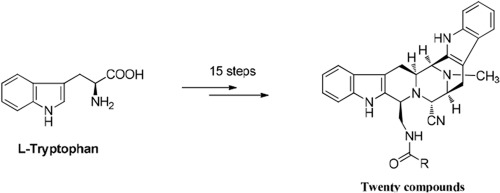 Synthesis and cytotoxicity of a novel series of saframycin ...
