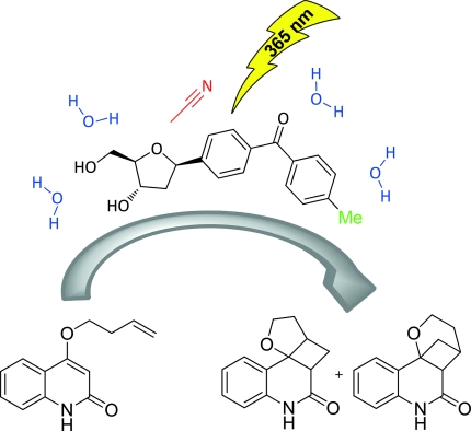 Synthesis of Benzophenone Nucleosides and Their Photocatalytic ...