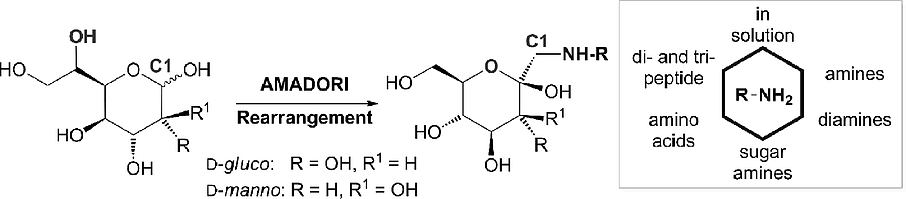 The Amadori Rearrangement for Carbohydrate Conjugation: Scope and ...