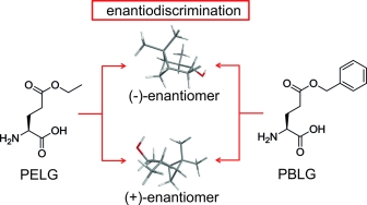 Enantiodifferentiating Properties of the Alignment Media PELG and PBLG ...