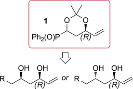 A Chiral Building Block for the ­Stereocontrolled Installation of the 1 ...