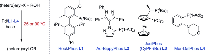 A Comparative Ancillary Ligand Survey in Palladium-Catalyzed C-O Cross ...