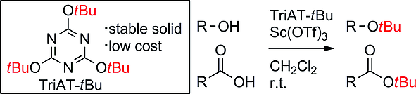三嗪基叔丁基化试剂 TriAT-tBu 的开发,European Journal of Organic Chemistry - X-MOL