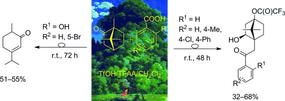 未知樟脑：CF3SO3H/(CF3CO)2O 体系中酰化作用下的区域选择性重排,European Journal of Organic ...