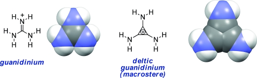 大甾体：Deltic 胍离子,European Journal of Organic Chemistry - X-MOL