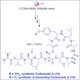 Solid-Phase Total Synthesis of the Proposed Structure of Coibamide A ...