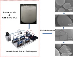 Characterization of acid hydrolysis of granular potato starch under ...