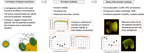 Reduction of surface fat formation on spray-dried milk powders through ...