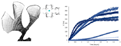 加纳棕色海藻藻类的特征：Sargassum spp。和帕迪纳（Padina spp。）,Food Hydrocolloids - X-MOL