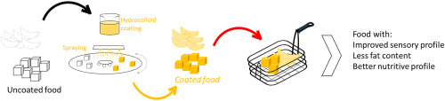 Edible coatings minimize fat uptake in deep fat fried products: A ...