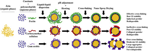 Caseinate-zein-polysaccharide complex nanoparticles as potential oral ...