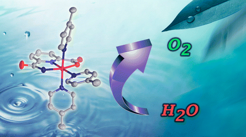 Catalytic Water Oxidation by a Molecular Ruthenium Complex: Unexpected ...