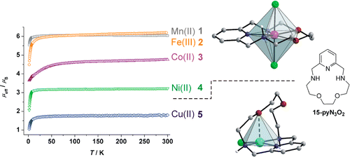 Structural, Magnetic, and Redox Diversity of First-Row Transition Metal ...