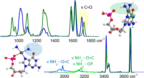 Interaction of Cisplatin with 5′-dGMP: A Combined IRMPD and Theoretical ...