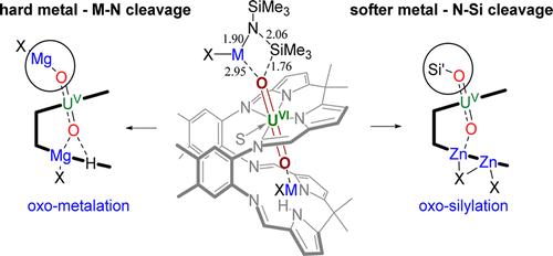 Control of Oxo-Group Functionalization and Reduction of the Uranyl Ion ...