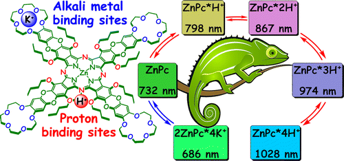 A Molecular Chameleon: Reversible pH- and Cation-Induced Control of the ...