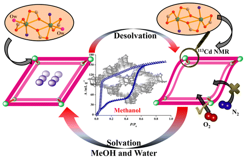 113Cd Nuclear Magnetic Resonance as a Probe of Structural Dynamics in a ...