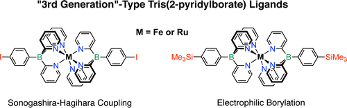 “Third-Generation”-Type Functional Tris(2-pyridyl)borate Ligands and ...