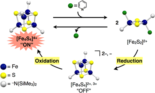 Interconversion between [Fe4S4] and [Fe2S2] Clusters Bearing Amide ...