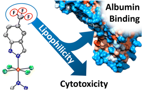 CF3 Derivatives of the Anticancer Ru(III) Complexes KP1019, NKP-1339 ...