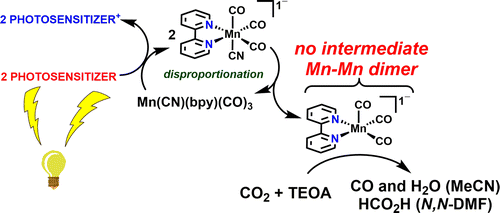 Photocatalytic Reduction of Carbon Dioxide to CO and HCO2H Using fac-Mn ...