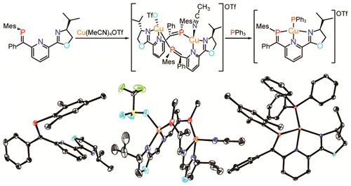 Copper(I) Complexes of Pyridine-Bridged Phosphaalkene-Oxazoline Pincer ...