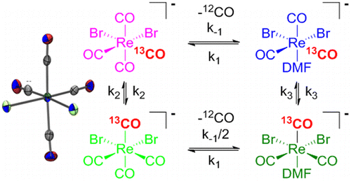 Kinetics and Mechanism of CO Exchange in fac-[MBr2(solvent)(CO)3]− (M ...