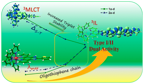 Theoretical Exploration of Type I/Type II Dual Photoreactivity of ...